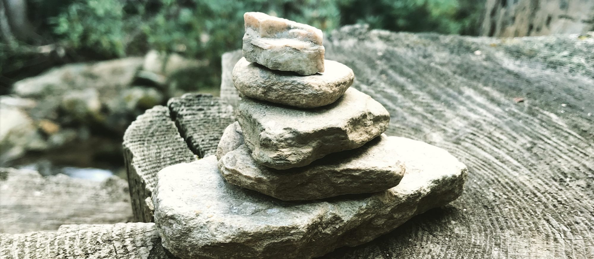 Contact Information & Fees – Triad Emotional Health & Wellness Counseling